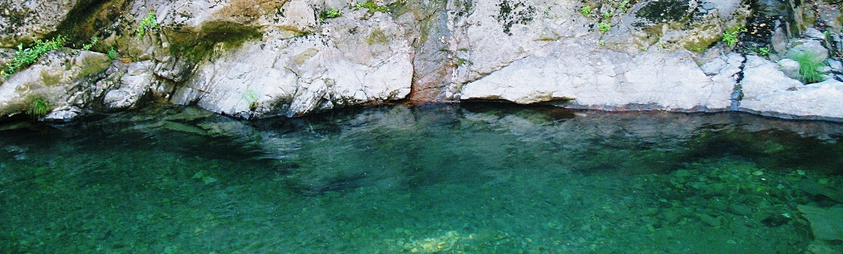 Community Announcements - City of Lyons